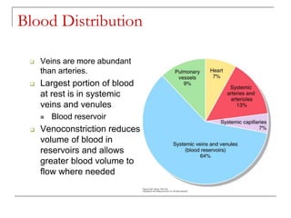 Blood Vessels general anatomy | PPT