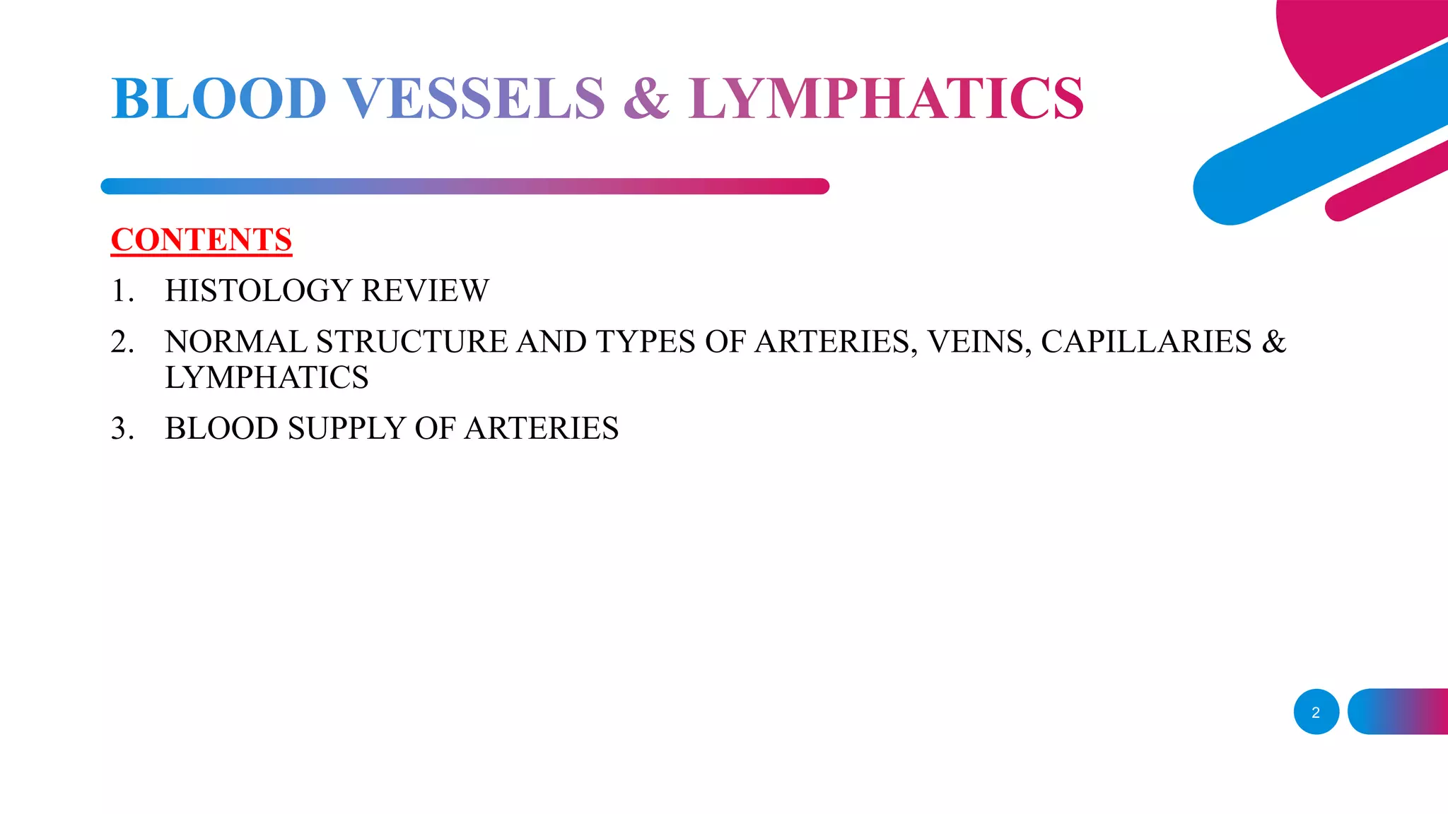 BLOOD VESSELS HISTOLOGY REVIEW.pptx