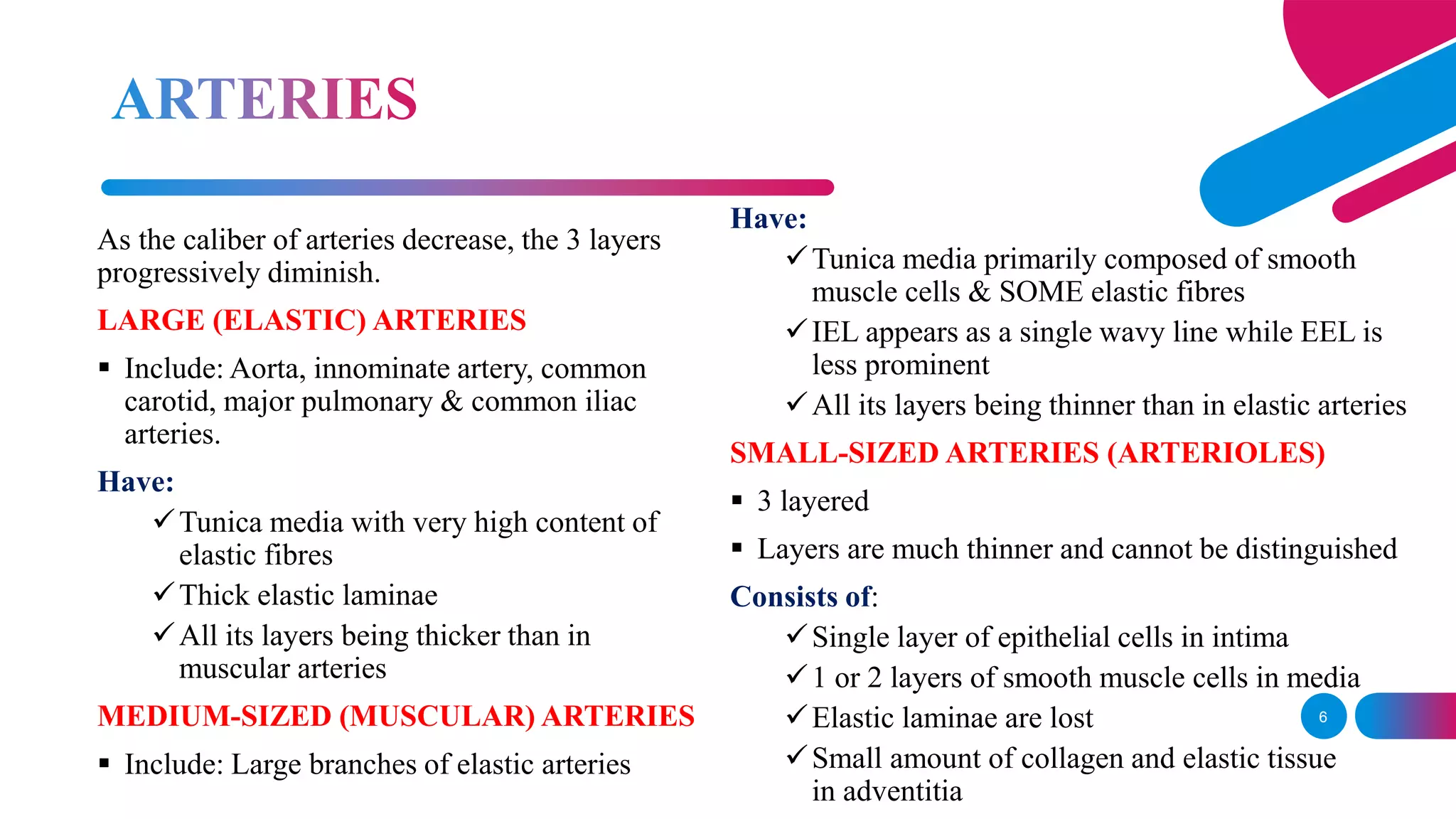 BLOOD VESSELS HISTOLOGY REVIEW.pptx