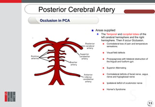 Blood vessels of brain (2) | PPTX