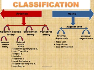Blood vessels of head and neck | PPT