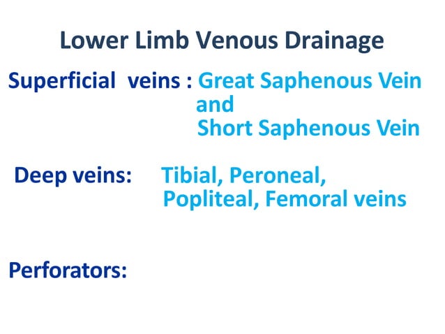 Blood Vessels of Lower Limb.pptx | Death, Injury, or Military Conflict ...