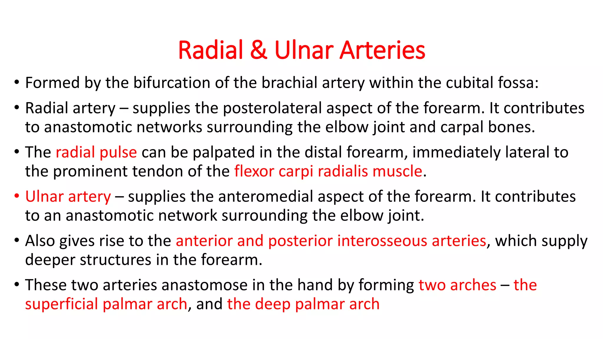Blood vessels of Upper Limb.pptx