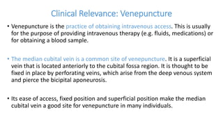 Blood vessels of Upper Limb.pptx