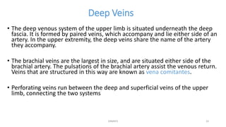 Blood vessels of Upper Limb.pptx