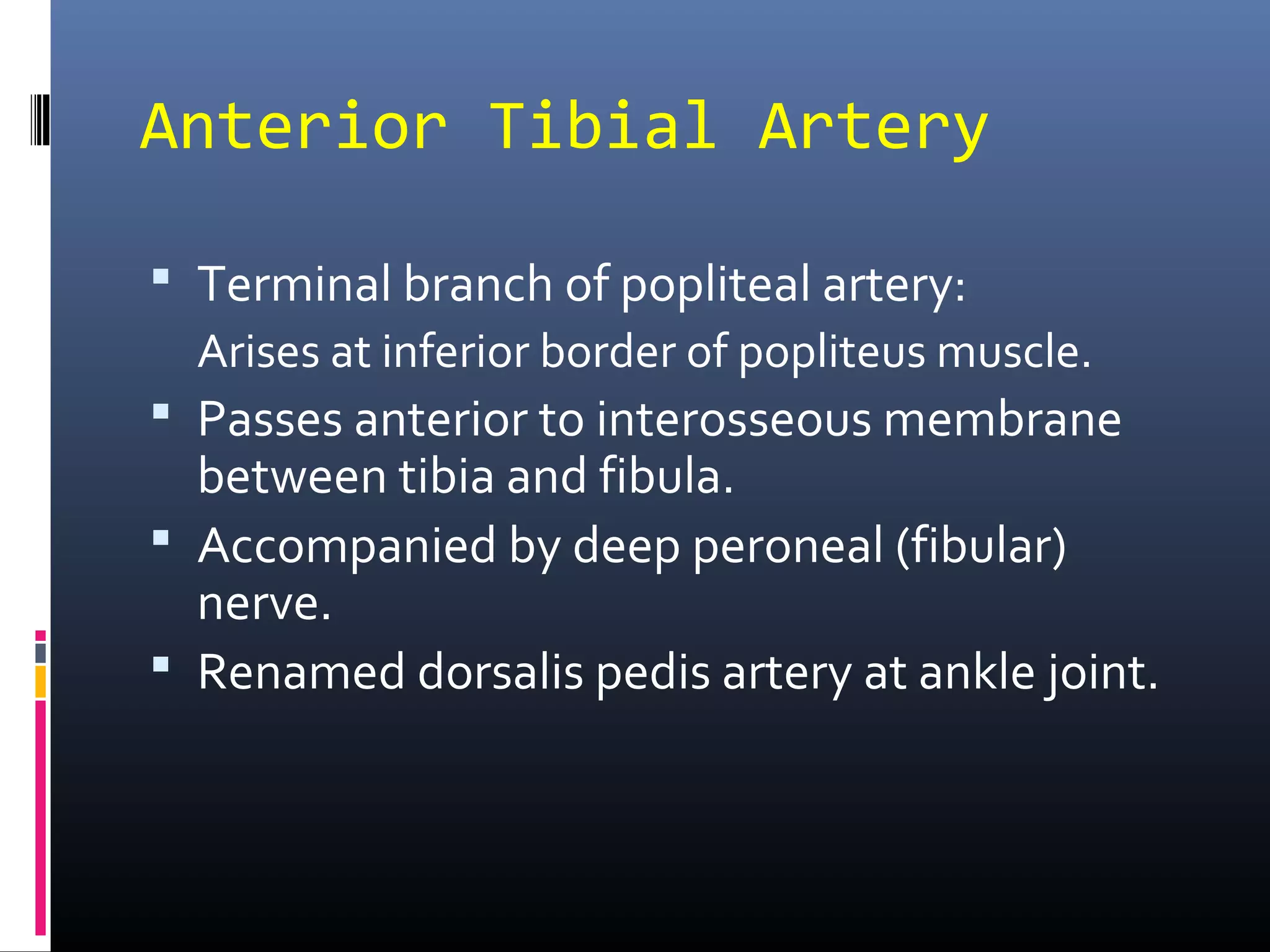 Blood vessels of upper limb bsc nursing | PPT
