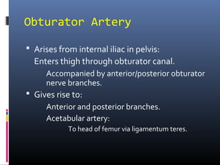 Blood vessels of upper limb bsc nursing | PPT