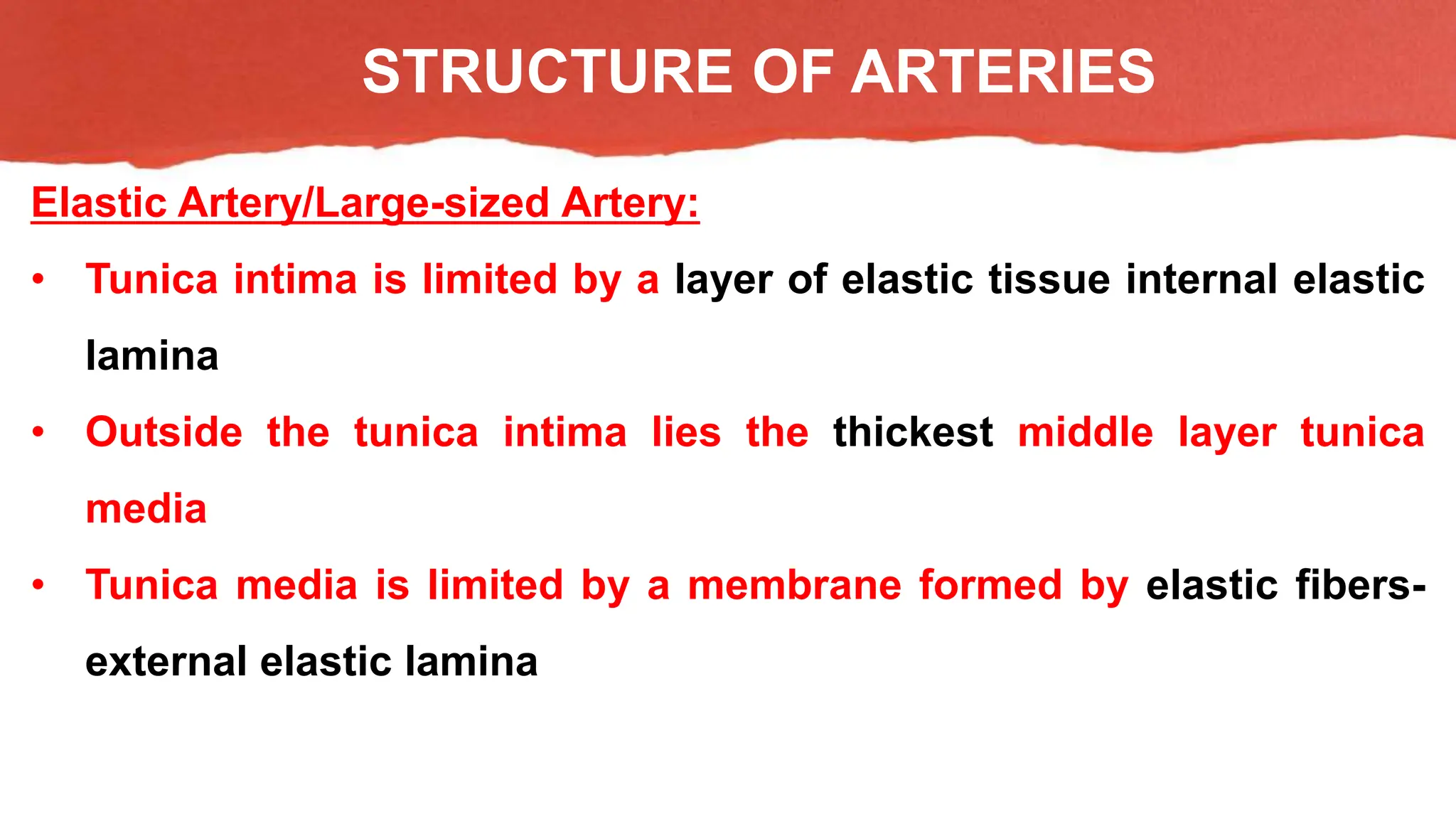 HISTOLOGY ANATOMY BLOOD VESSLES ANATOMY.pptx