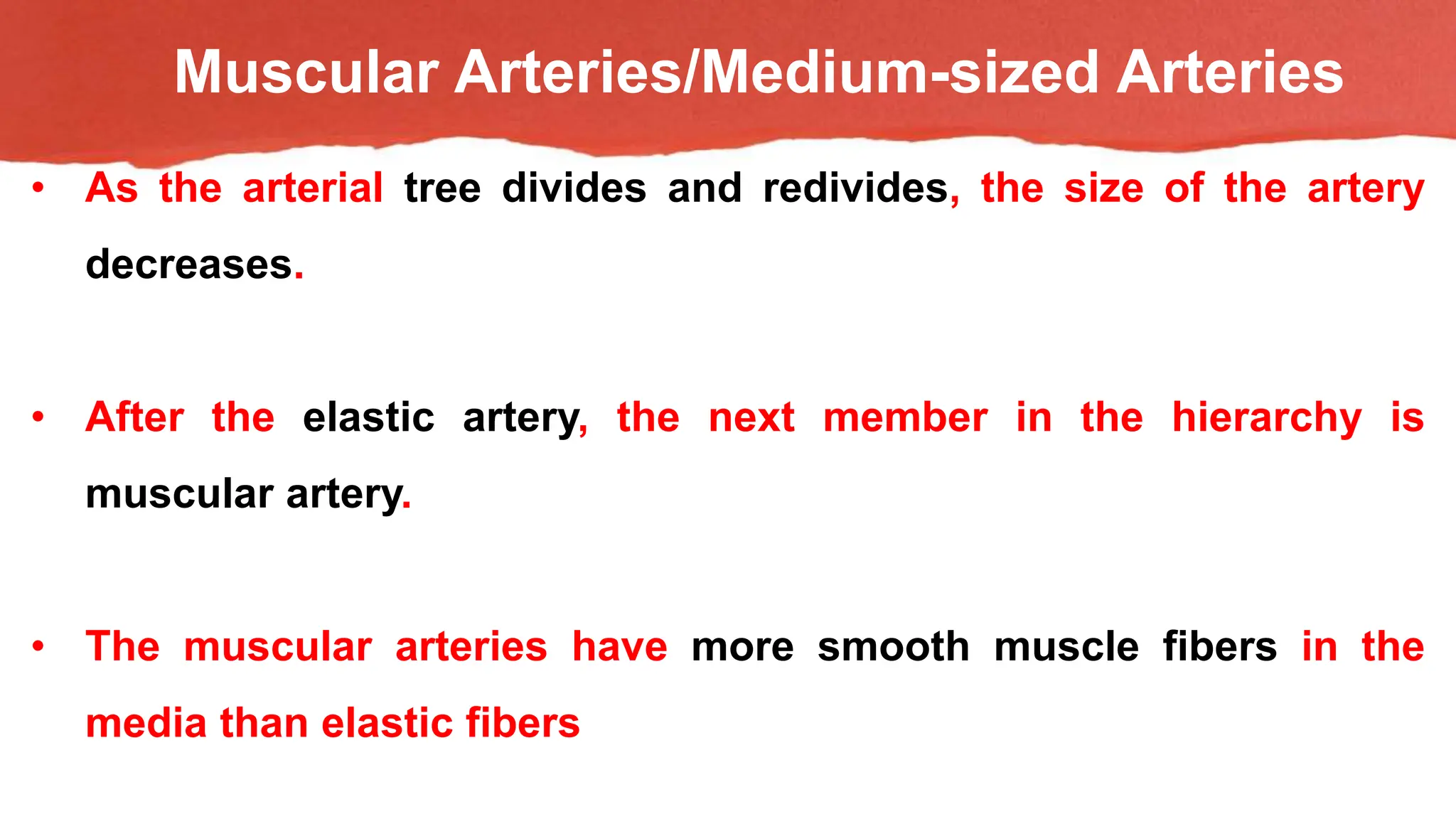 HISTOLOGY ANATOMY BLOOD VESSLES ANATOMY.pptx