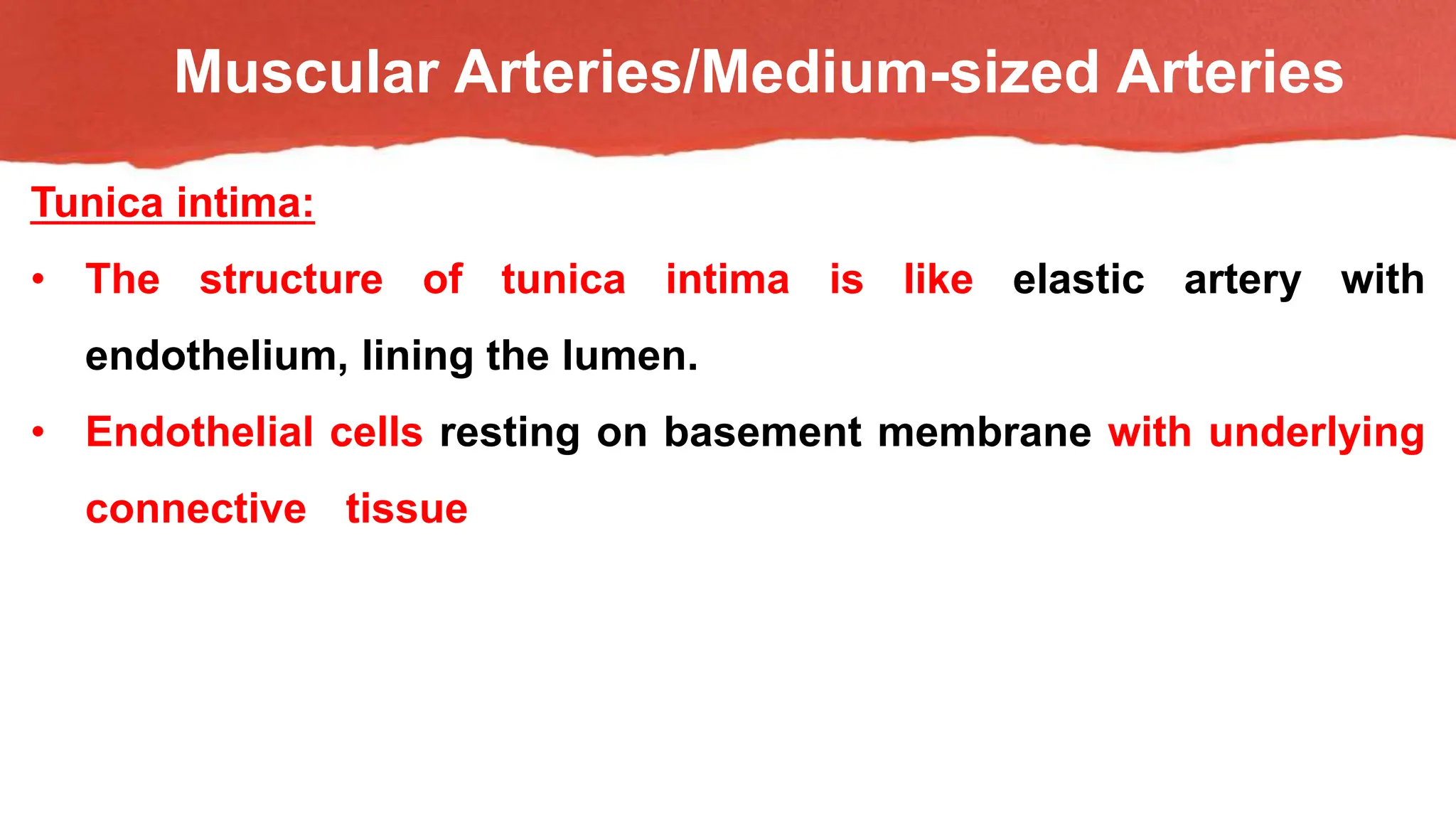 HISTOLOGY ANATOMY BLOOD VESSLES ANATOMY.pptx