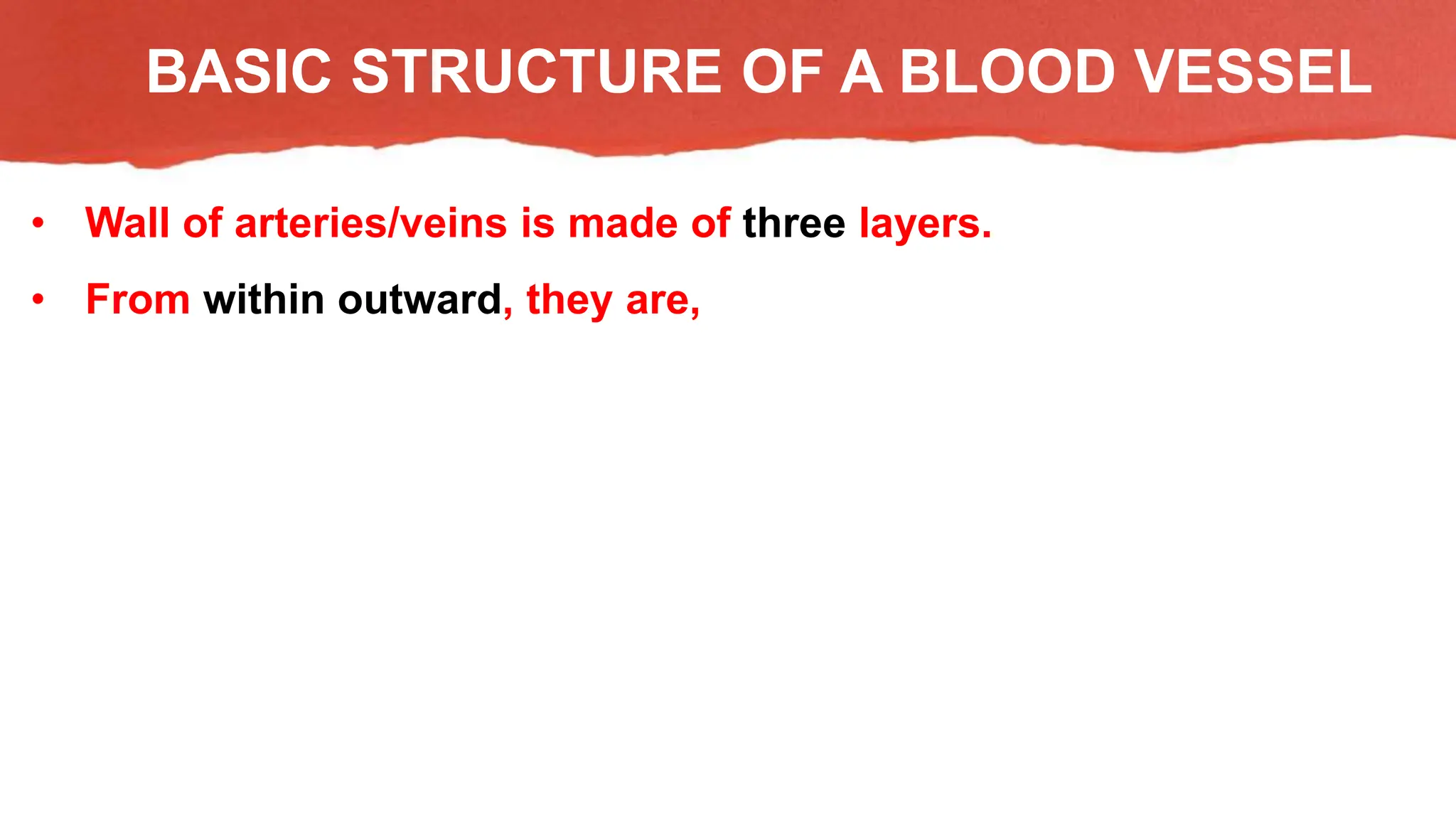 HISTOLOGY ANATOMY BLOOD VESSLES ANATOMY.pptx