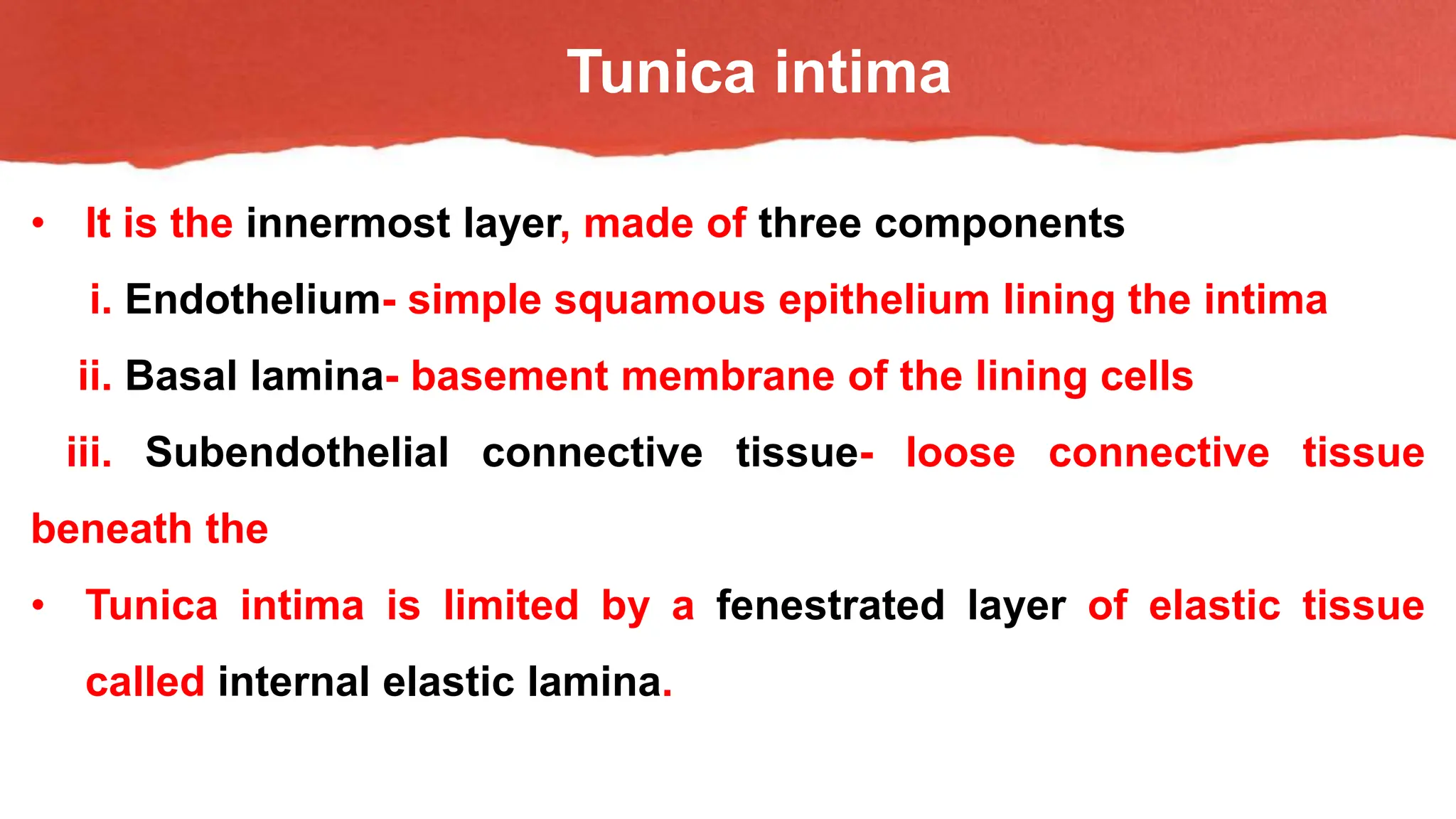 HISTOLOGY ANATOMY BLOOD VESSLES ANATOMY.pptx