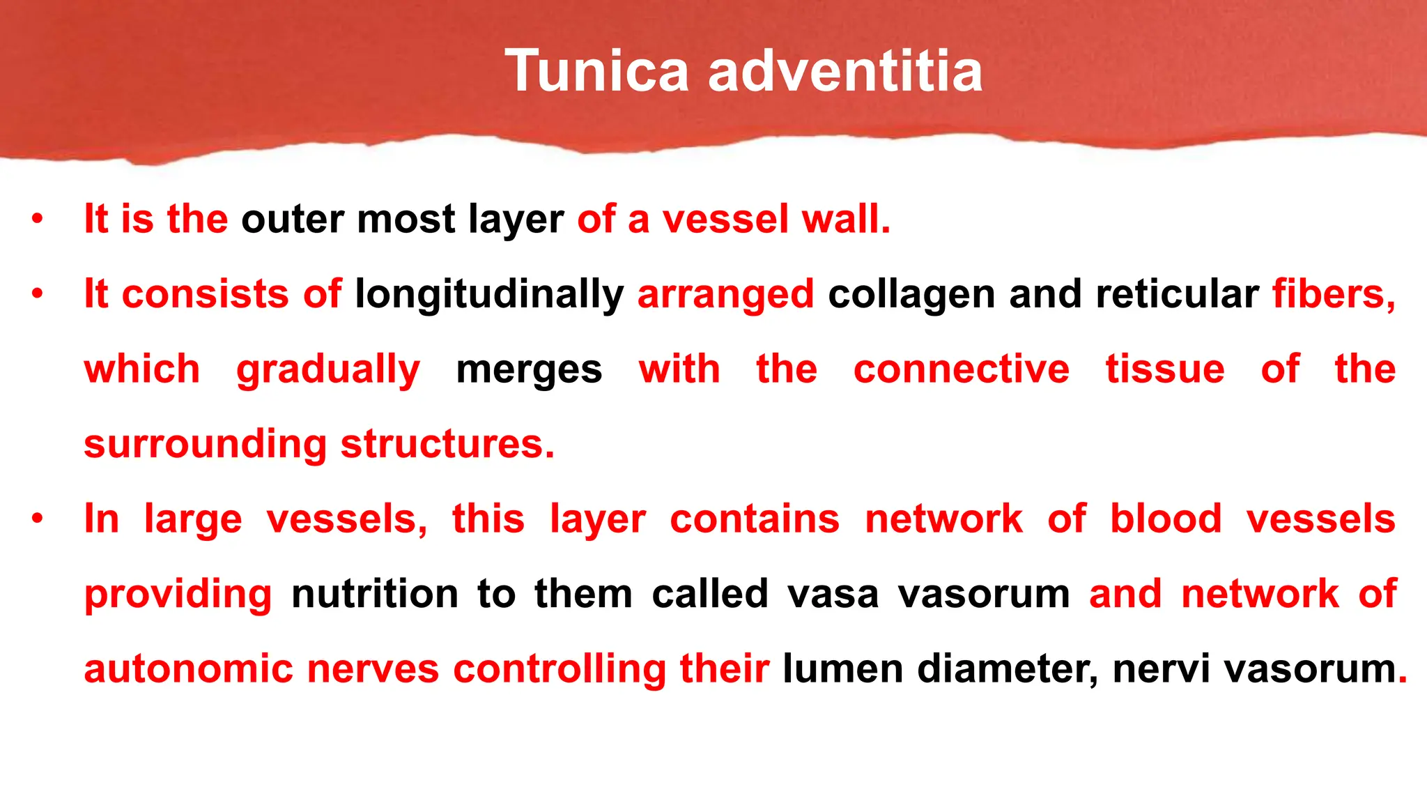 HISTOLOGY ANATOMY BLOOD VESSLES ANATOMY.pptx