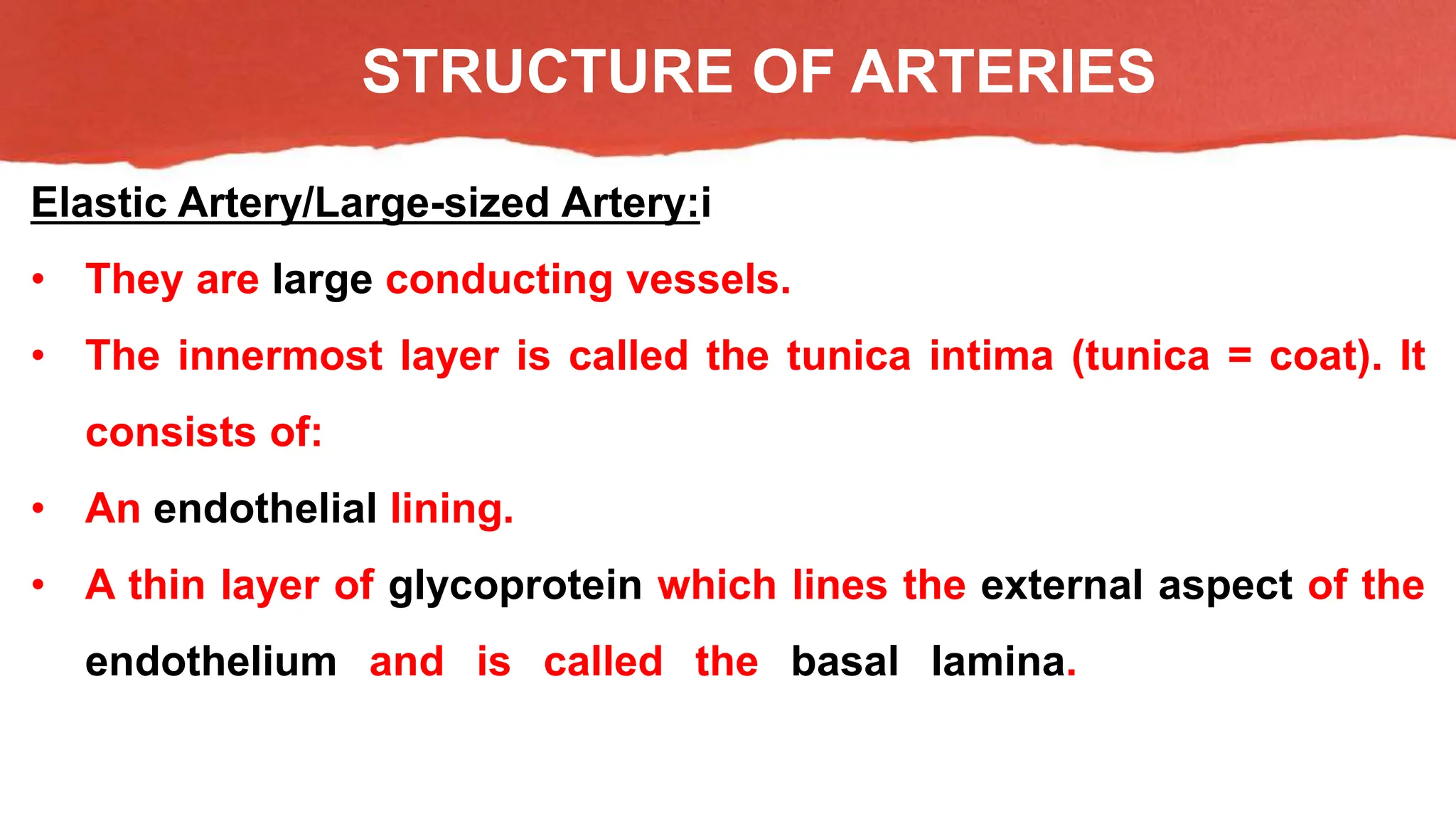 HISTOLOGY ANATOMY BLOOD VESSLES ANATOMY.pptx