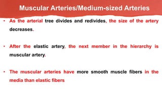 HISTOLOGY ANATOMY BLOOD VESSLES ANATOMY.pptx