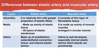 HISTOLOGY ANATOMY BLOOD VESSLES ANATOMY.pptx