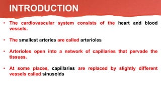 HISTOLOGY ANATOMY BLOOD VESSLES ANATOMY.pptx