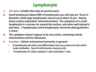 Blood/White Blood Cells/Fluid Connective tissue | PPTX