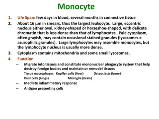 Blood/White Blood Cells/Fluid Connective tissue | PPTX