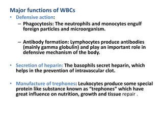 Blood/White Blood Cells/Fluid Connective tissue | PPTX