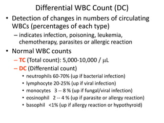 Blood/White Blood Cells/Fluid Connective tissue | PPTX
