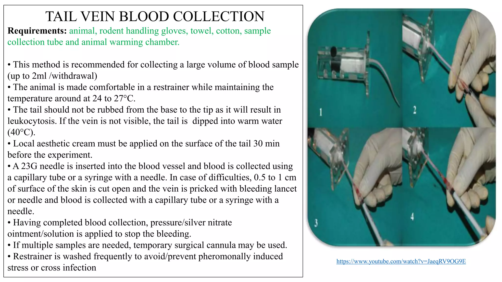Blood withdrawal techniques from laboratory animals by NIRDESH KUMAR.pptx