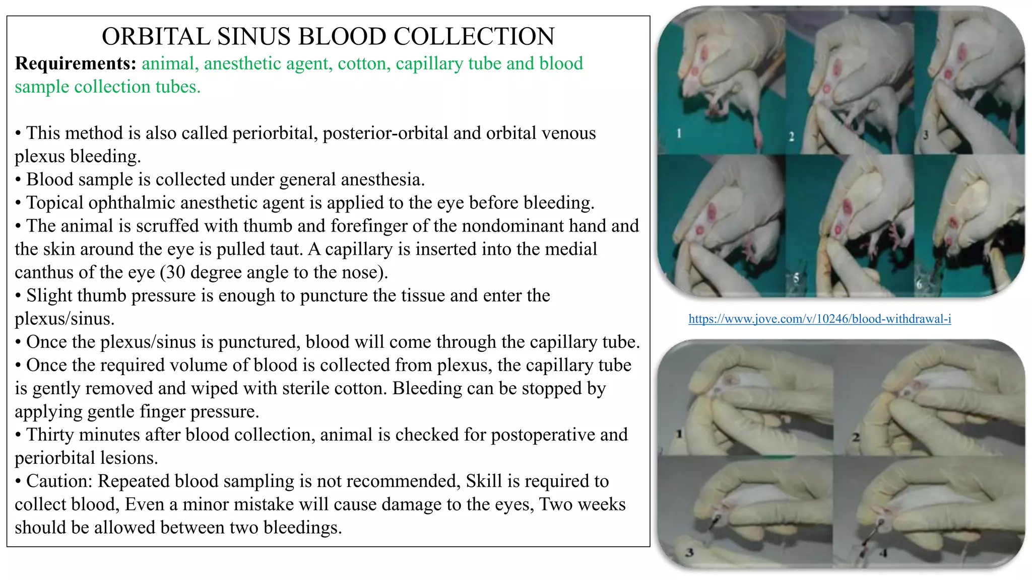 Blood withdrawal techniques from laboratory animals by NIRDESH KUMAR.pptx