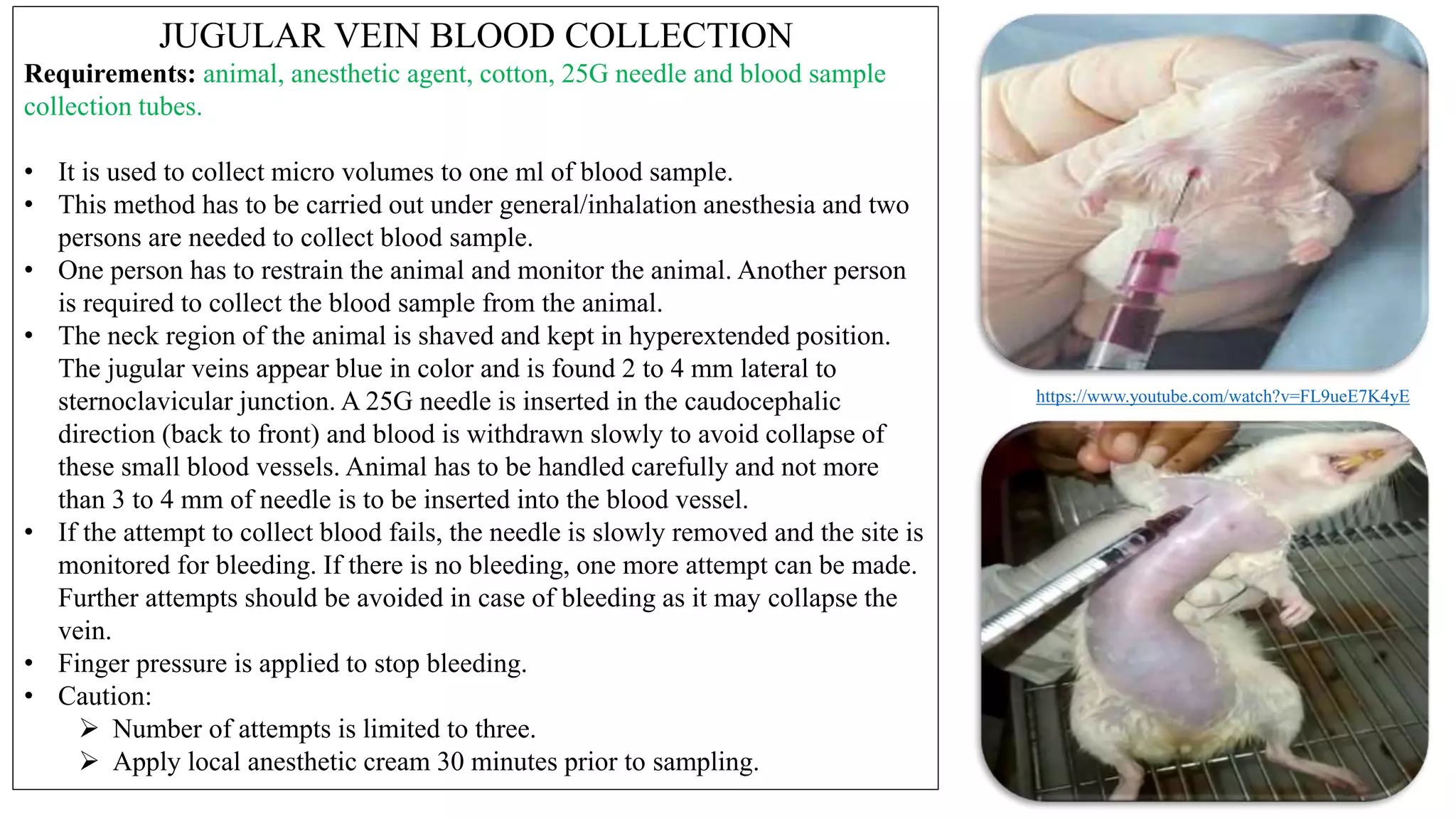 Blood withdrawal techniques from laboratory animals by NIRDESH KUMAR.pptx
