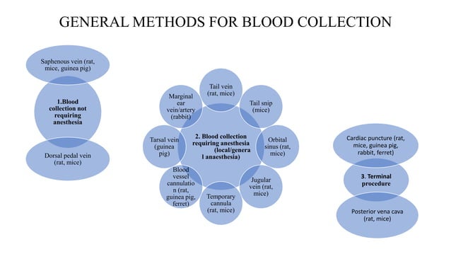 Blood withdrawal techniques from laboratory animals by NIRDESH KUMAR.pptx