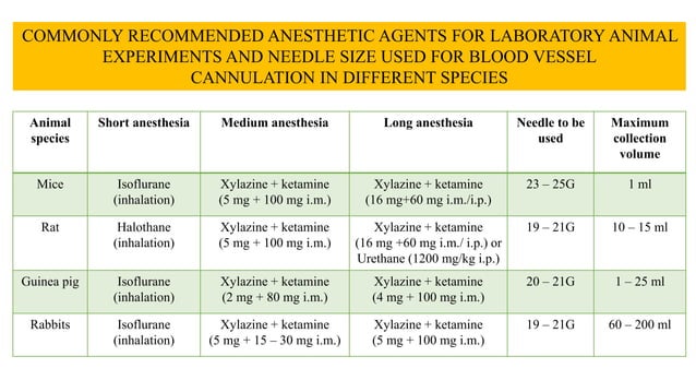 Blood withdrawal techniques from laboratory animals by NIRDESH KUMAR.pptx