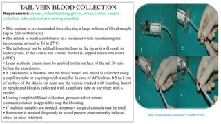 Blood withdrawal techniques from laboratory animals by NIRDESH KUMAR.pptx