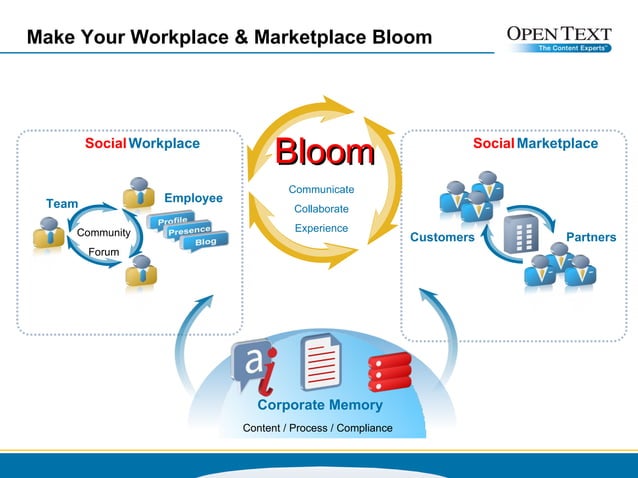 Bloom Basics February 2009 | PPT