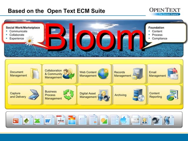 Bloom Basics February 2009 | PPT
