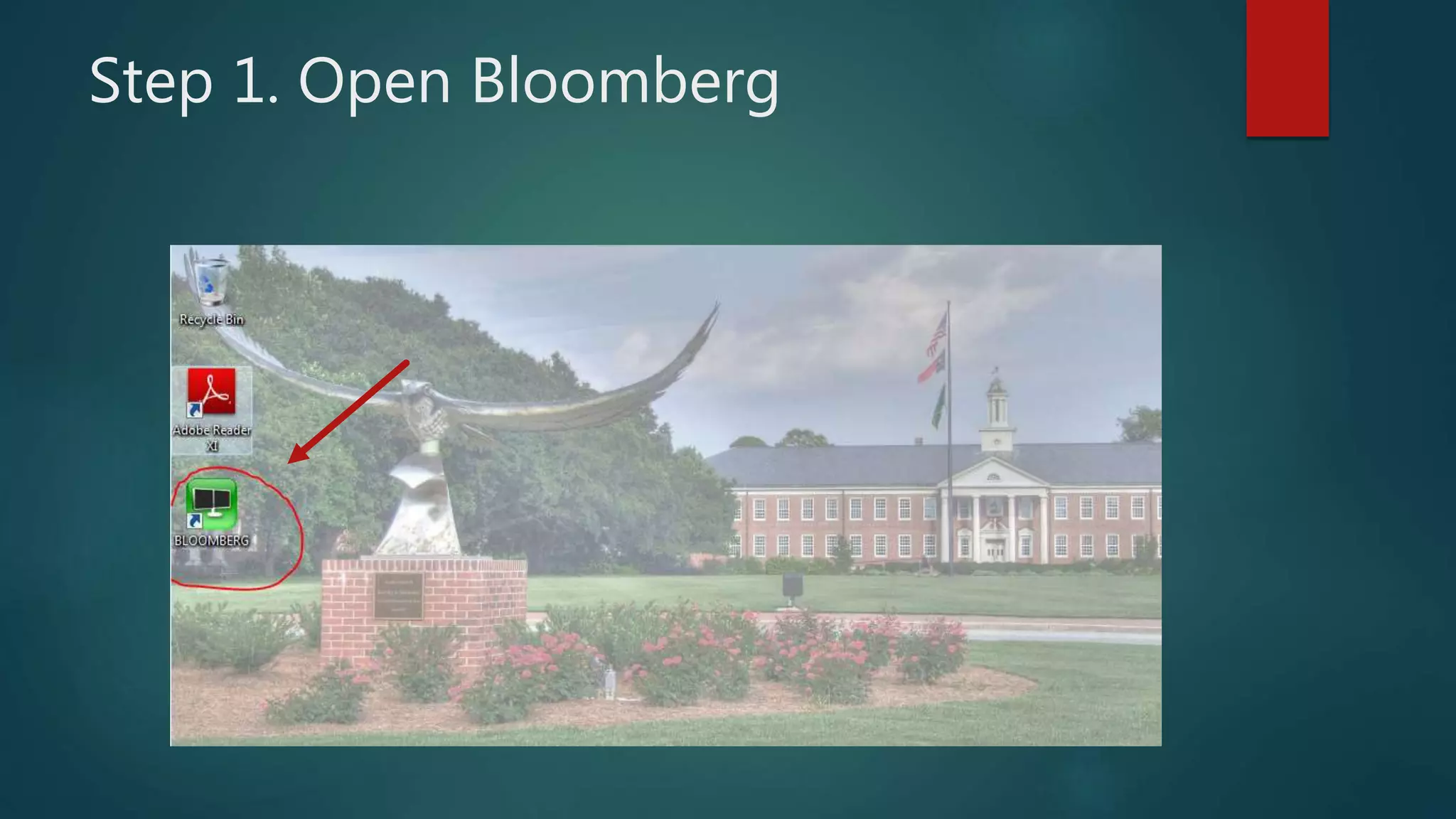 Bloomberg Terminals and B Market Concepts | PPTX