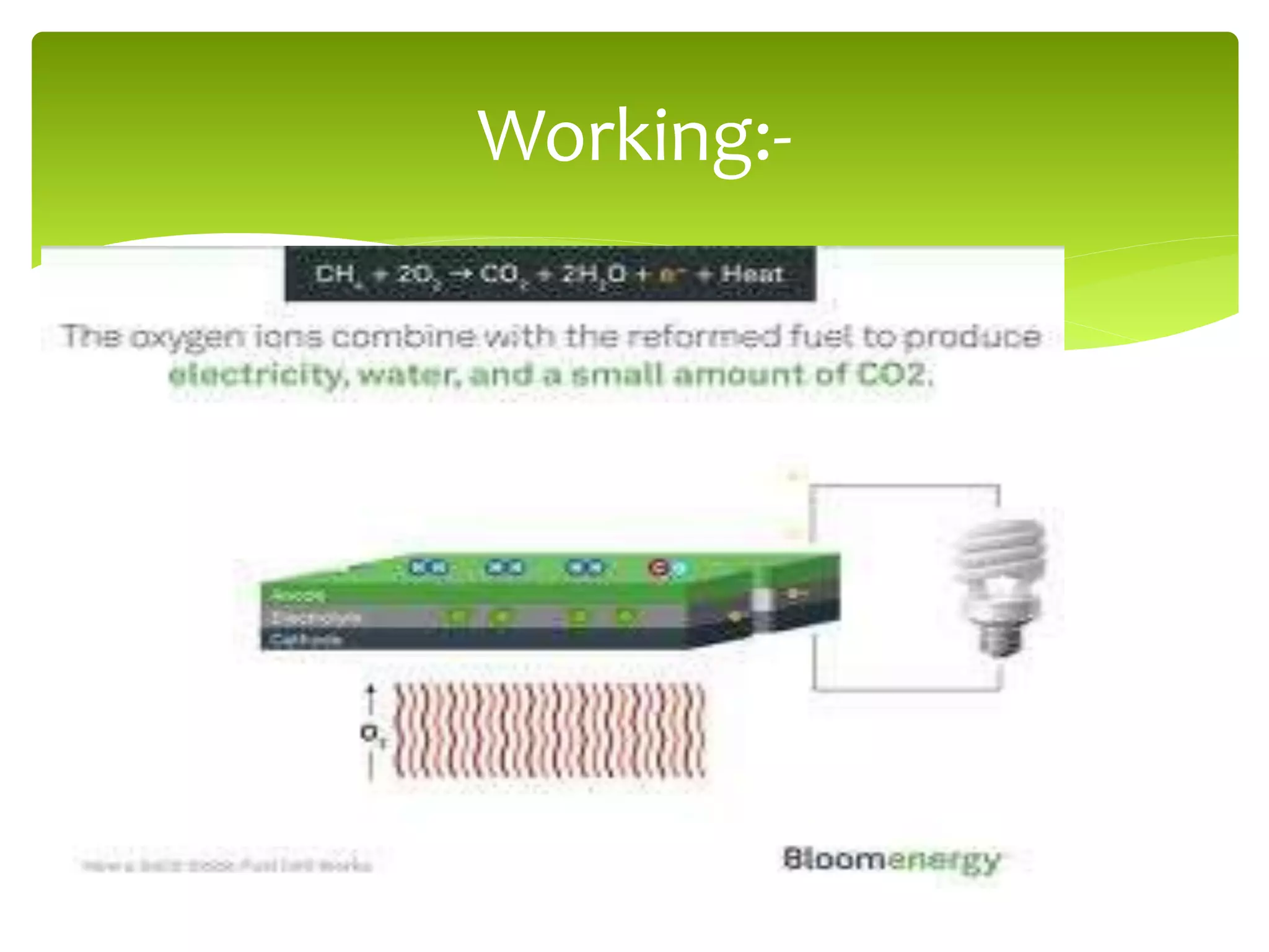 Bloom box ppt | PPTX