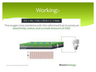 Bloom box ppt | PPTX