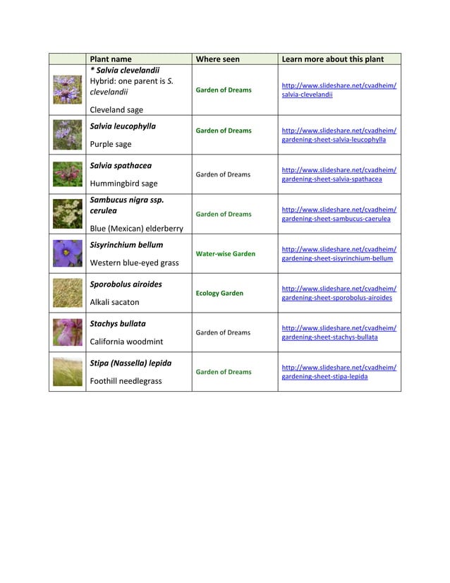 Bloom calendar csudh | PDF | Gardening | Home & Garden