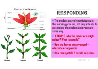 Bloom's taxonomy | PDF