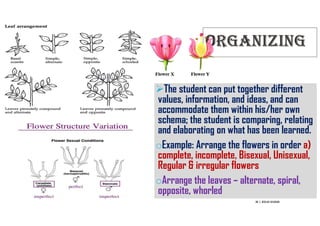 Bloom's taxonomy | PDF