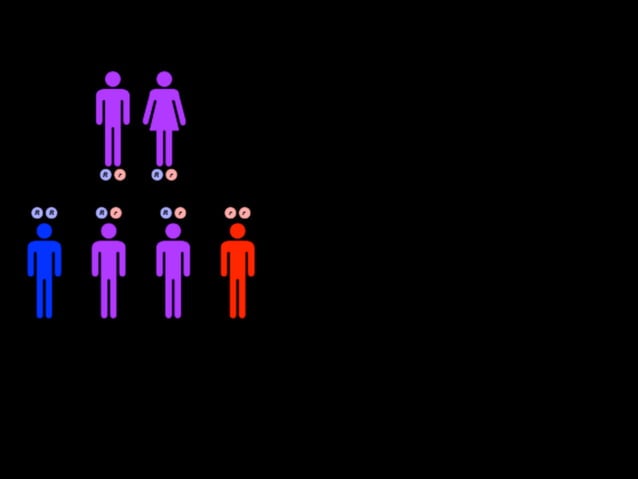 Bloom syndrome | KEY | Genetics | Science