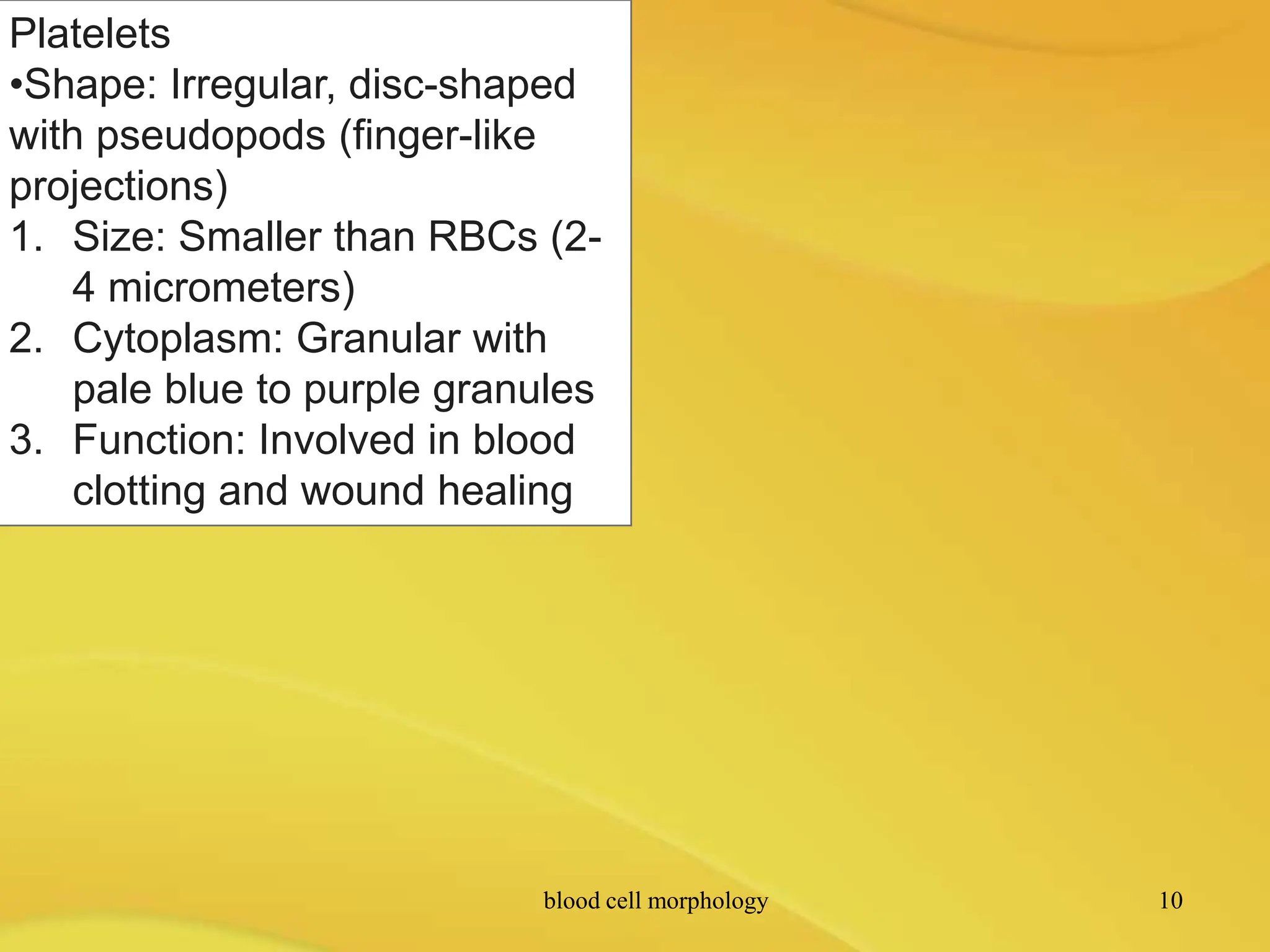 blood cell morphology.pptx