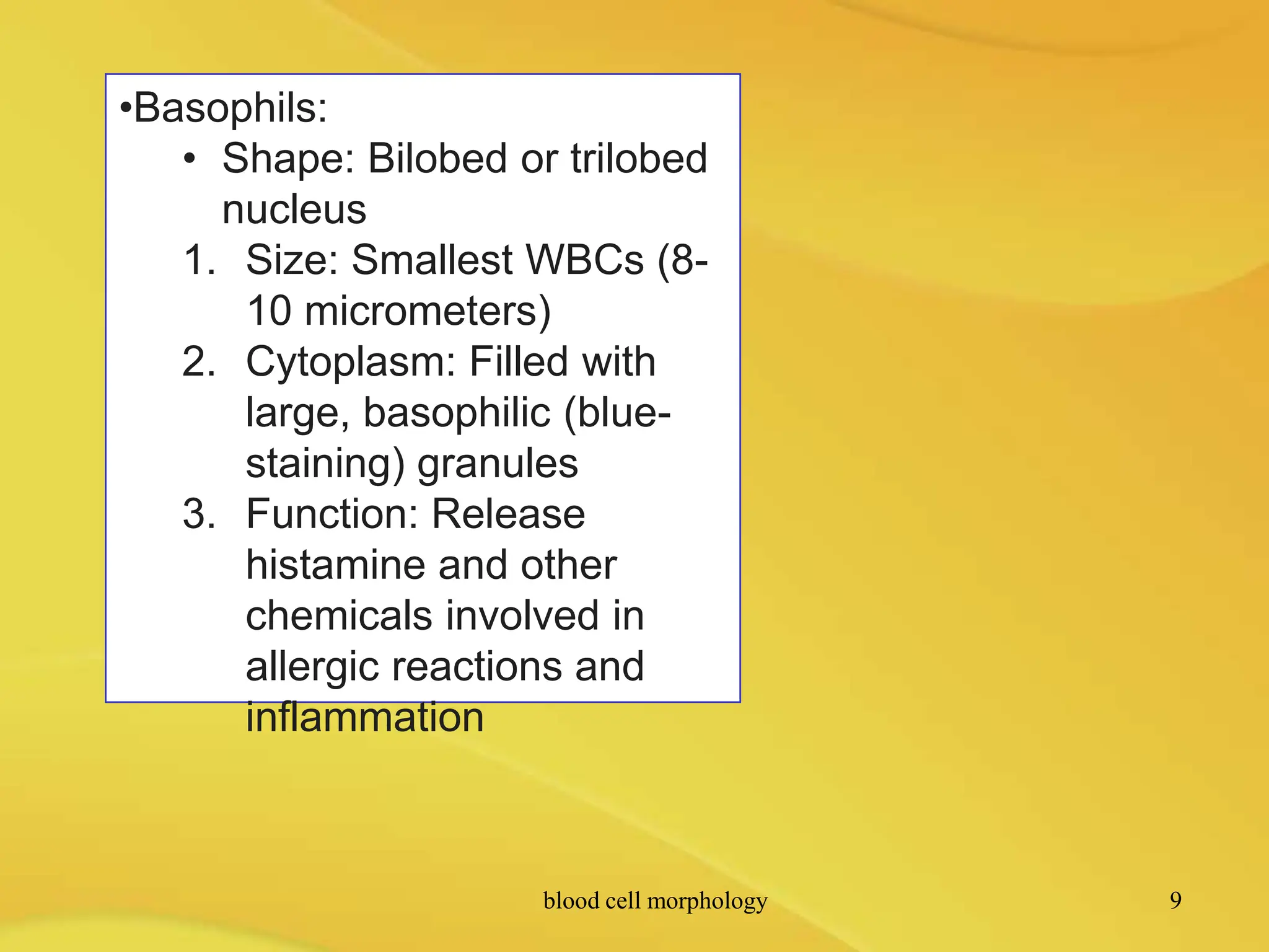 blood cell morphology.pptx