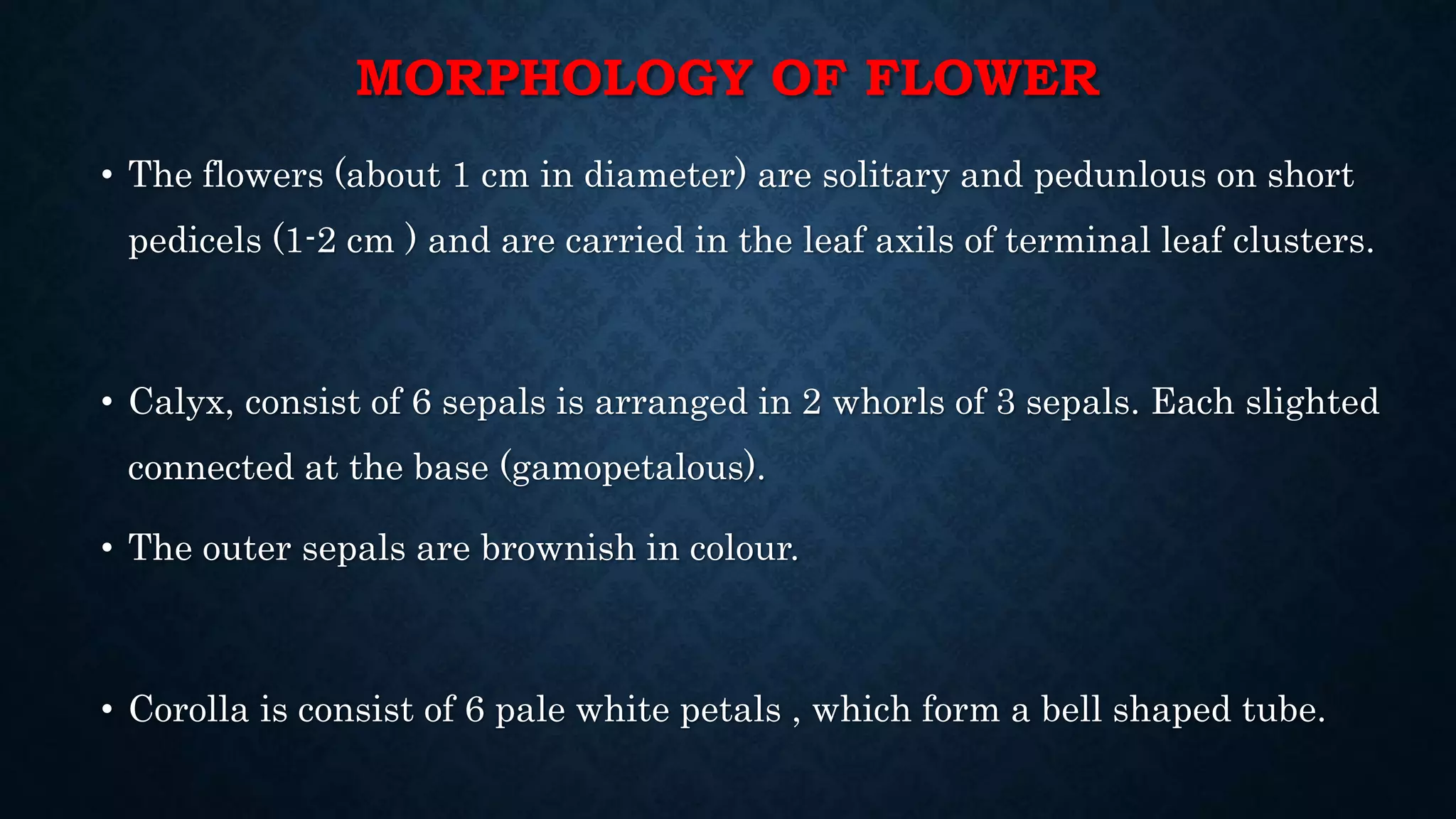 Bloosom biology and hybidizati tech in sapota | PPTX