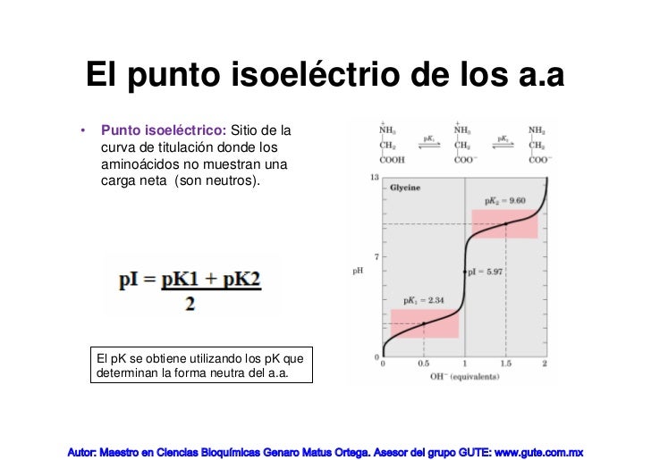 C lculo Del Punto Isoel ctrico De Las Biomol culas KXIW c-lculo-del-punto-isoel-ctrico-de-las-biomol-culas-kxiw