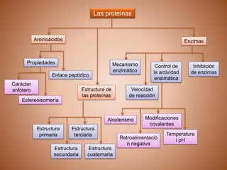 Biología Del Diagrama De Proteínas