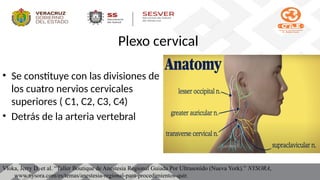 Bloqueo cervical superficial ECOGUIADO.pptx