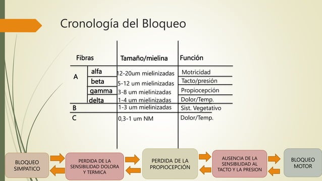 BLOQUEO NEUROAXIAL.pptx