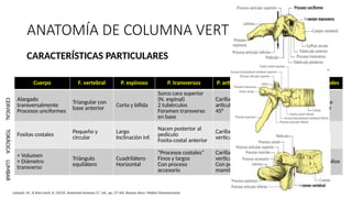 Bloqueo Neuroaxial. en anestesiologia pptx | PPTX