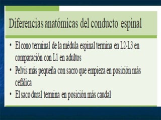 Bloqueo peneano y espinal en pediatria | PPT