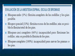 Bloqueo peneano y espinal en pediatria | PPT